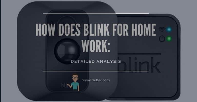 How Does Blink For Home Work: Detailed Analysis – SmartNutter